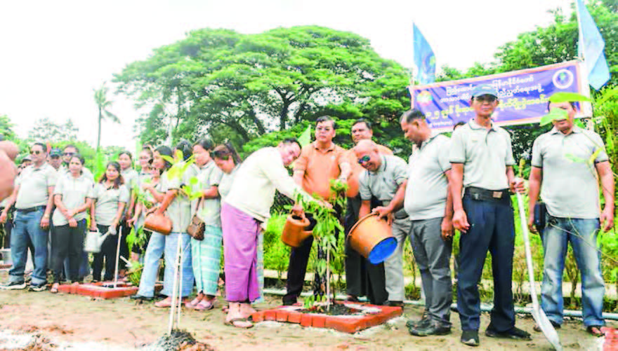 Myanmar Interfaith Dialogue Organization plants trees in 2025 rainy season | Myanmar Digital News